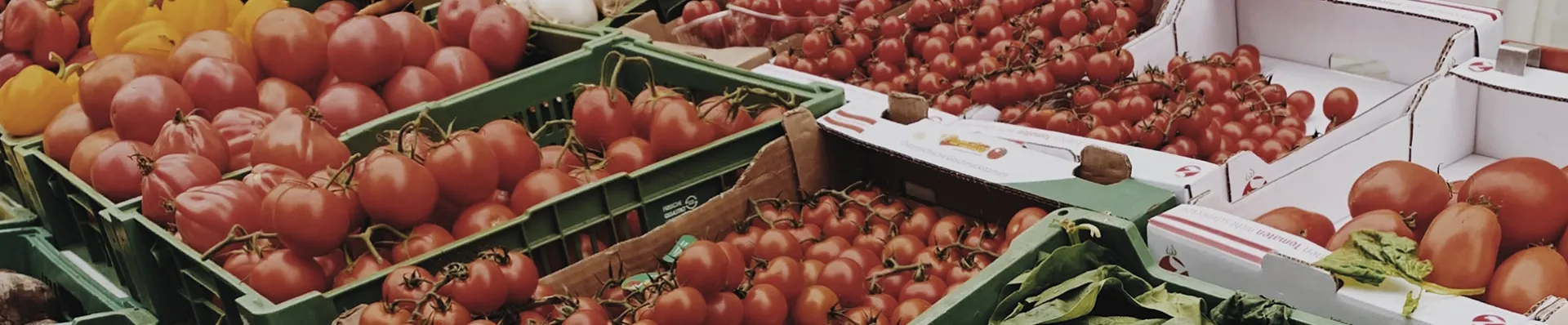 Mapping the UK food system | Environmental Change Institute