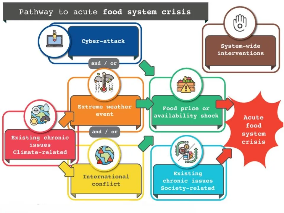 Experts reveal how a major food crisis might happen in the UK, and what ...